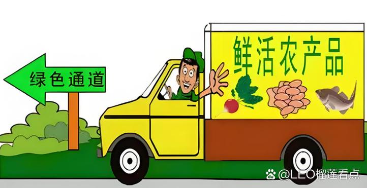 河南高速绿通限制标准截图