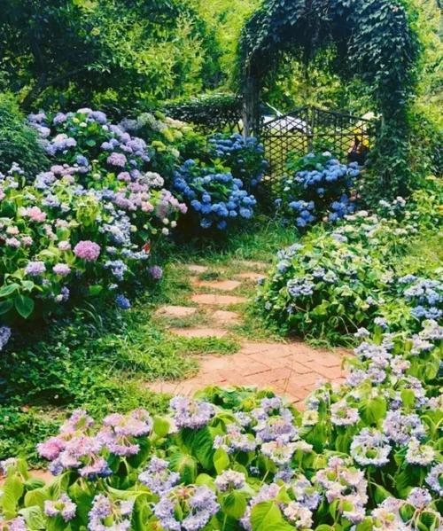 花园有哪些花图标