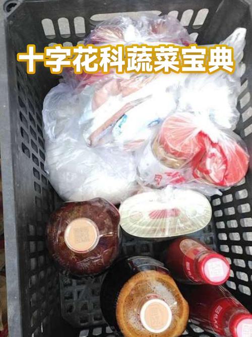 蔬菜的图片图标