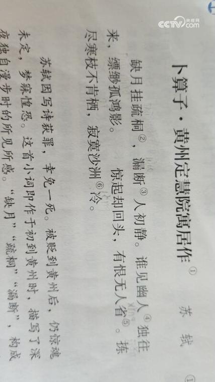 董卿朗诵《卜算子》图标