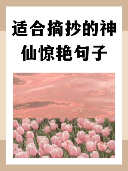 希区柯克糊蝶梦影评图标