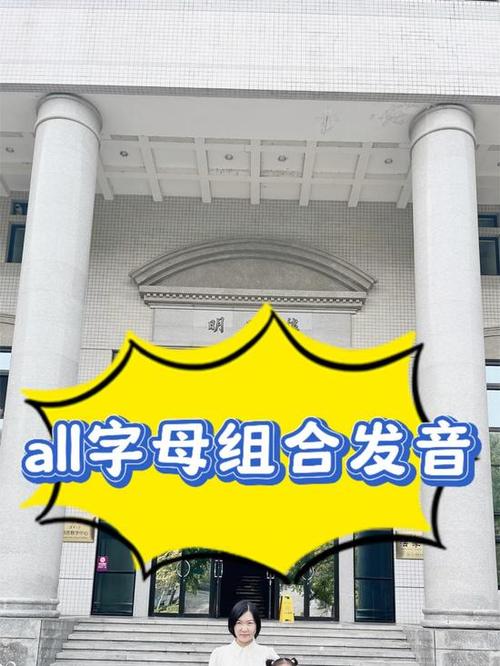 all的音标图标