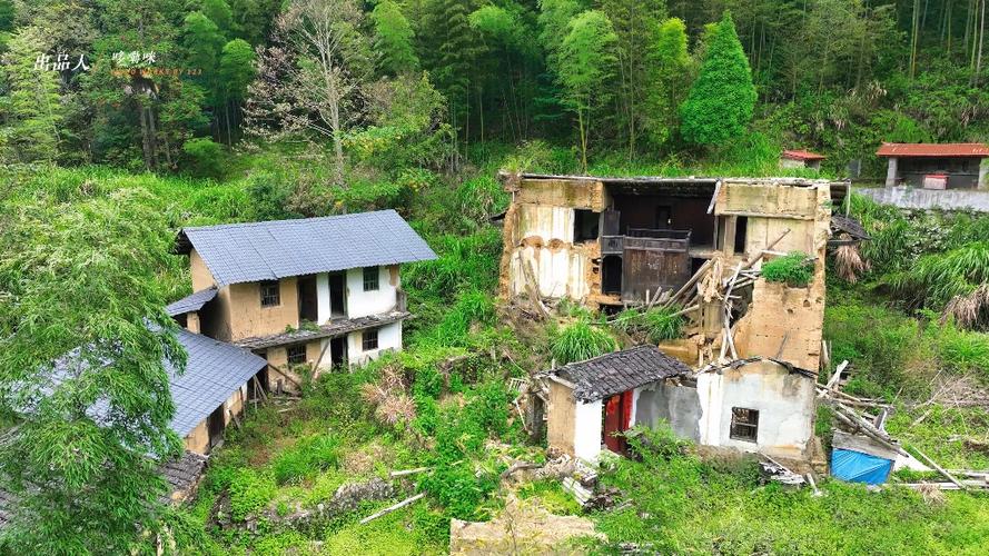 山野老屋图标