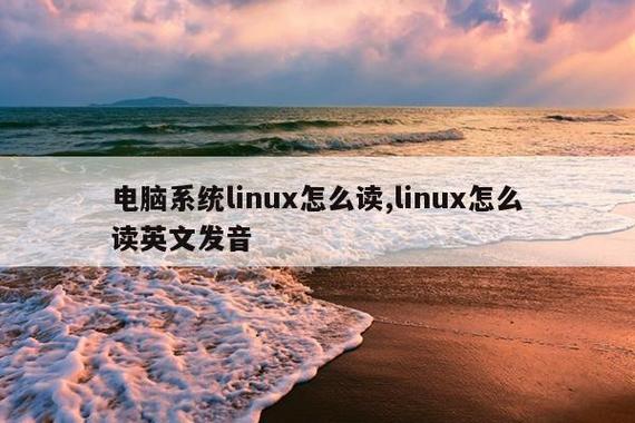 linux的正确读音图标