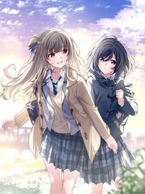进入300百合会的注意事项截图
