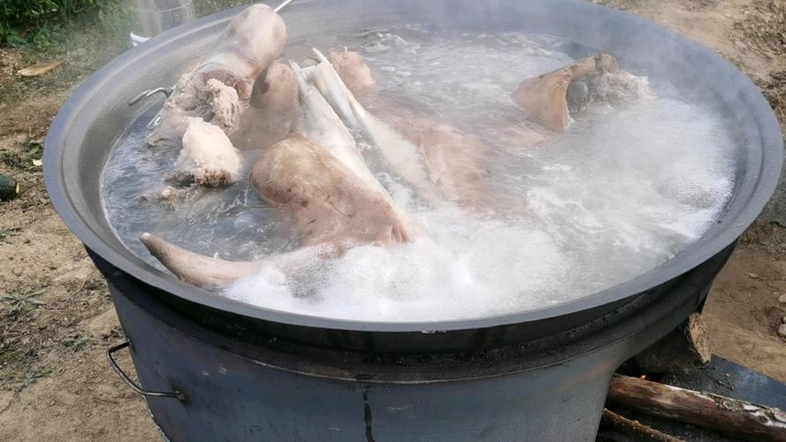 大地168能量锅是真是假截图