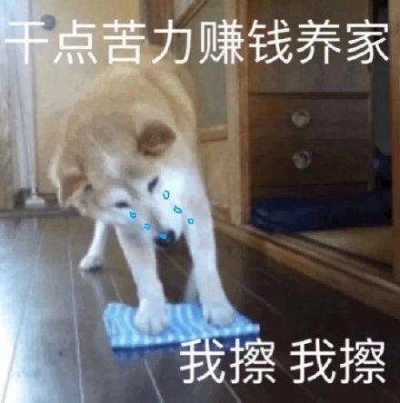 熊猫赚钱多多图标