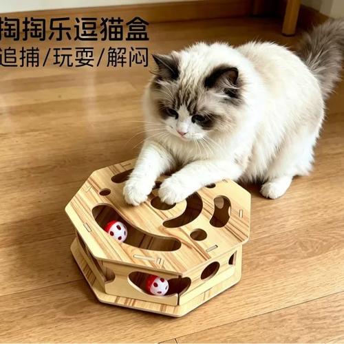 猫咪盒子图标