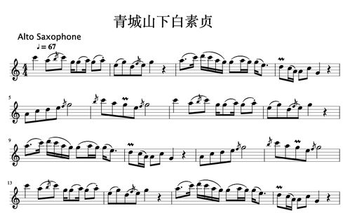 青城山下白素贞伴奏曲截图