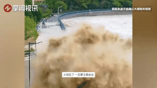 观潮影视图标