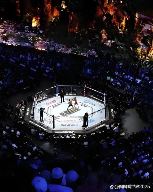 免费看ufc图标