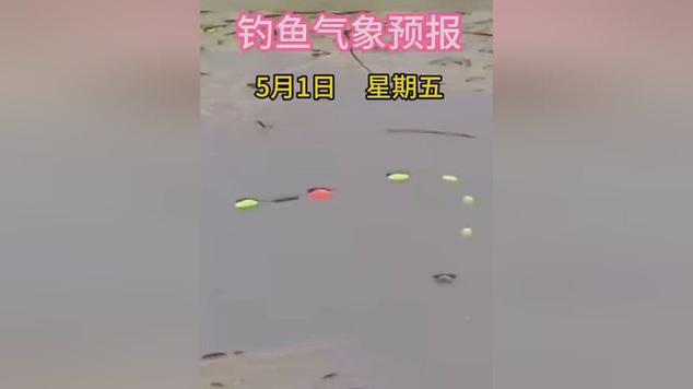 钓鱼气象预报app下载