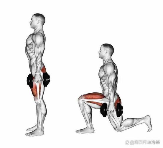 小腿肌肉的锻炼方法图标