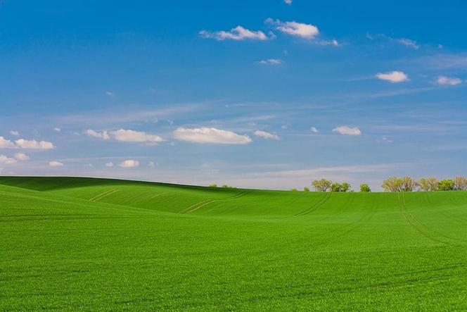 电脑屏幕绿色图标