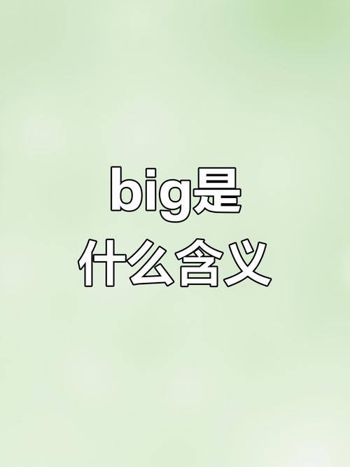 bigo的意思截图