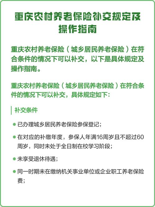 重庆农民60岁每月领多少钱图标