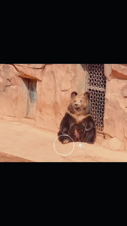 大叔是个神奇的生物截图