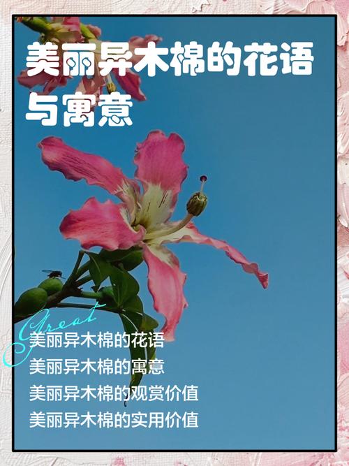 永保美丽的意思