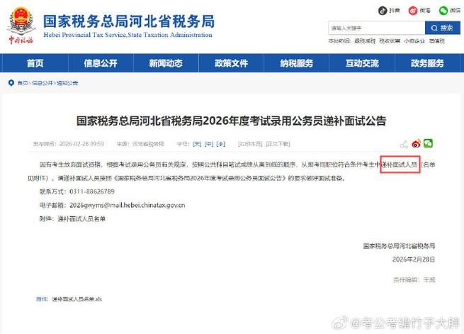 国家税务总局河北电子税务总局图标