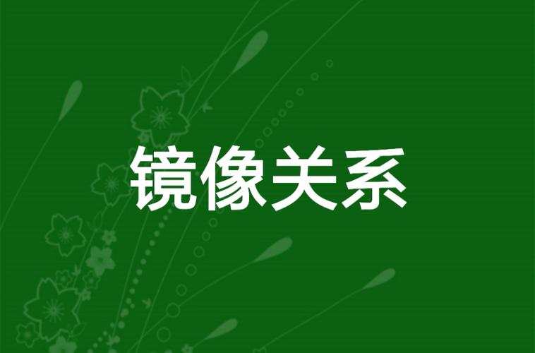 镜像关系txt图标
