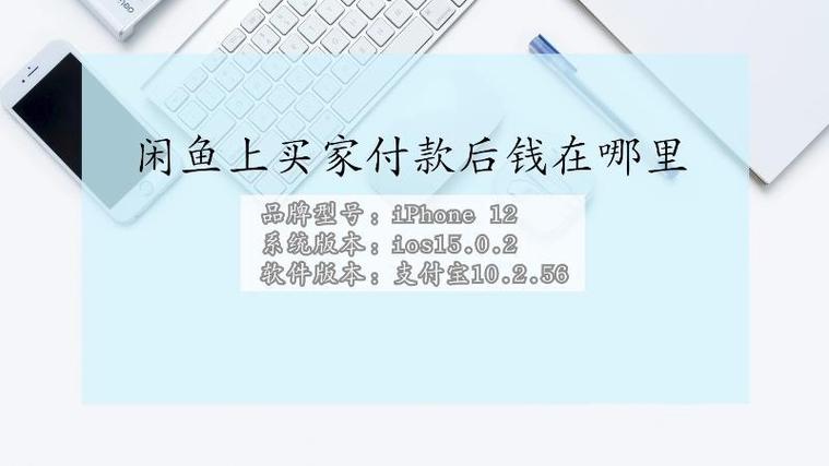 闲鱼买家付款了钱在哪里截图