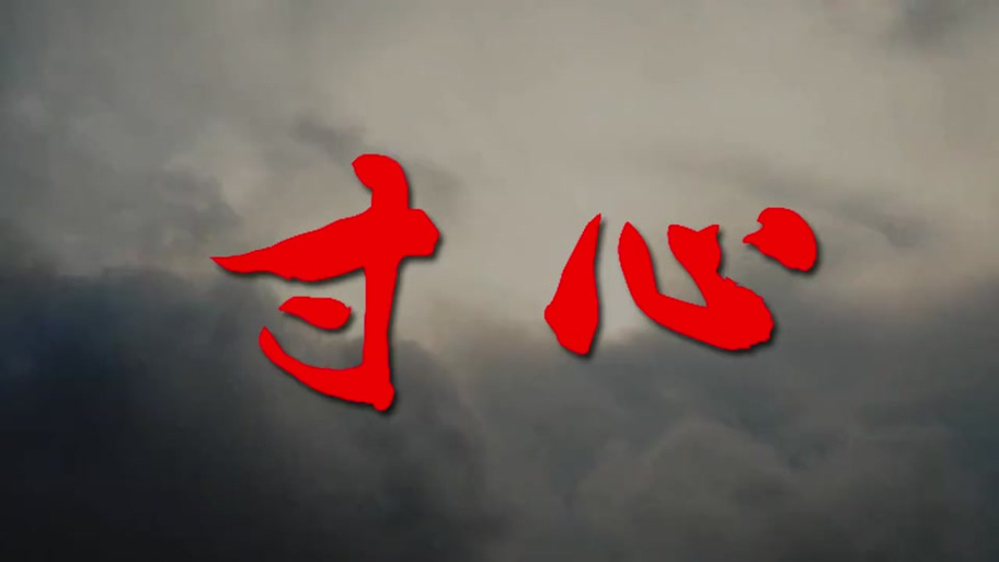 寸心主题曲