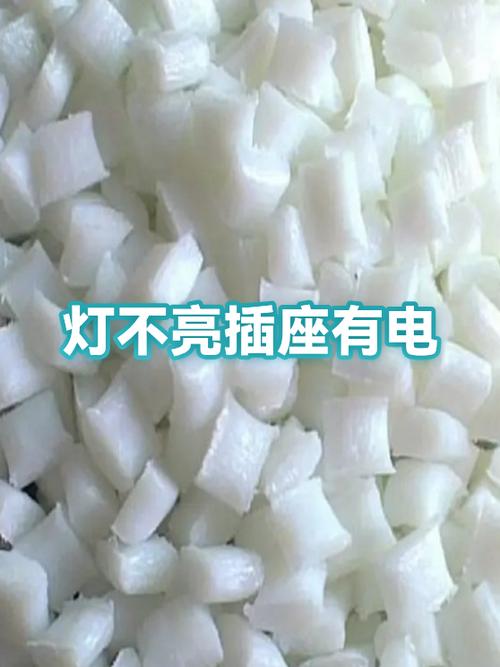 家里所有的灯都不亮了插座都有电图标