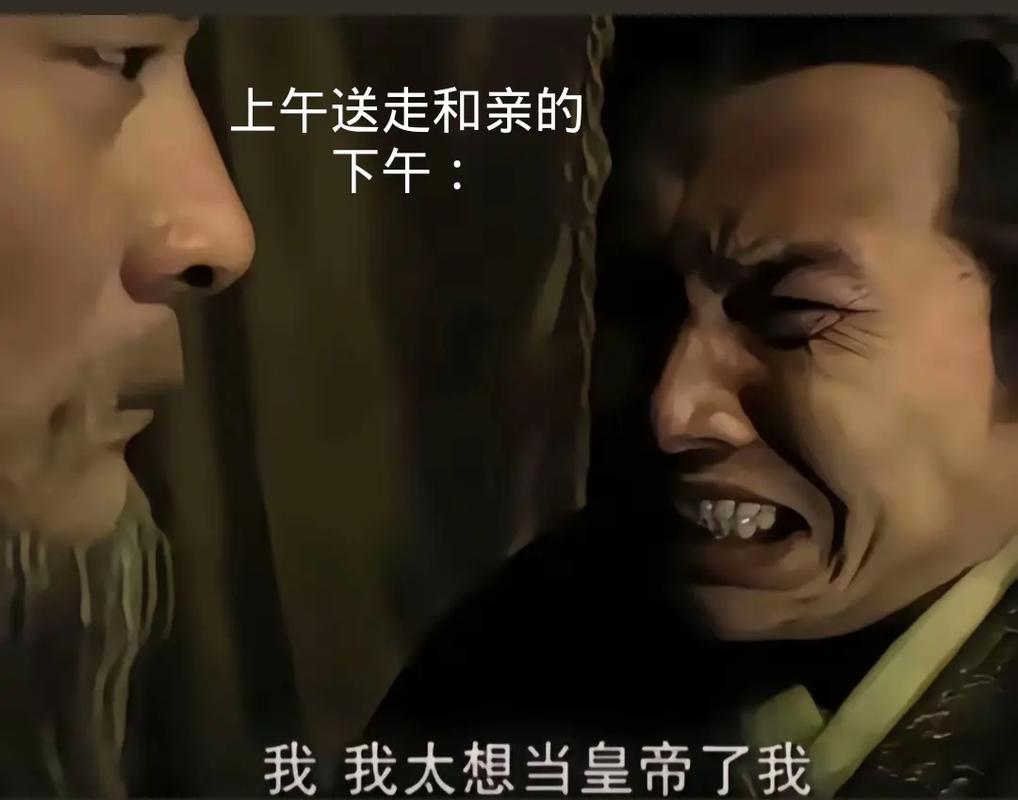 我想当皇上赚溅板