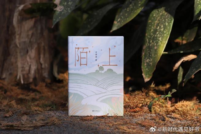 陌上阅读截图