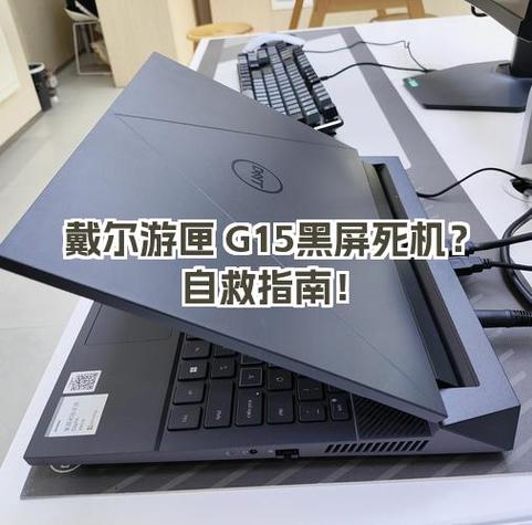 戴尔正在休眠无法开机截图