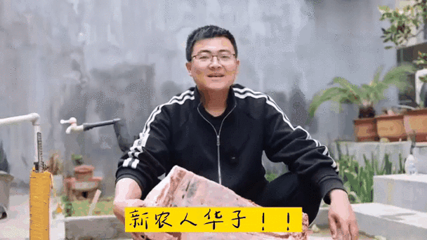 新农人华子过年视频图标