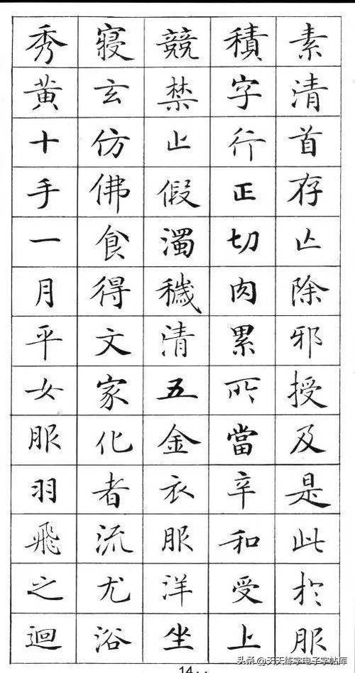 灵飞经全文阅读图标