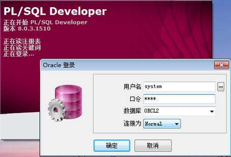 将oracle11g数据导入10g 用plsql图标
