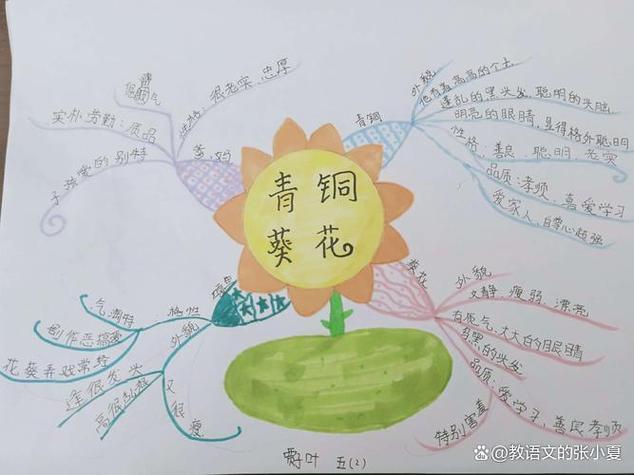 葵花阅读图标