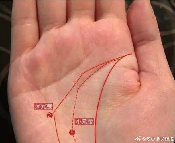 你是元宝吗