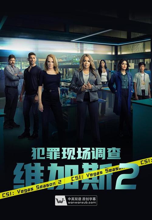 欧美剧剧情介绍图标