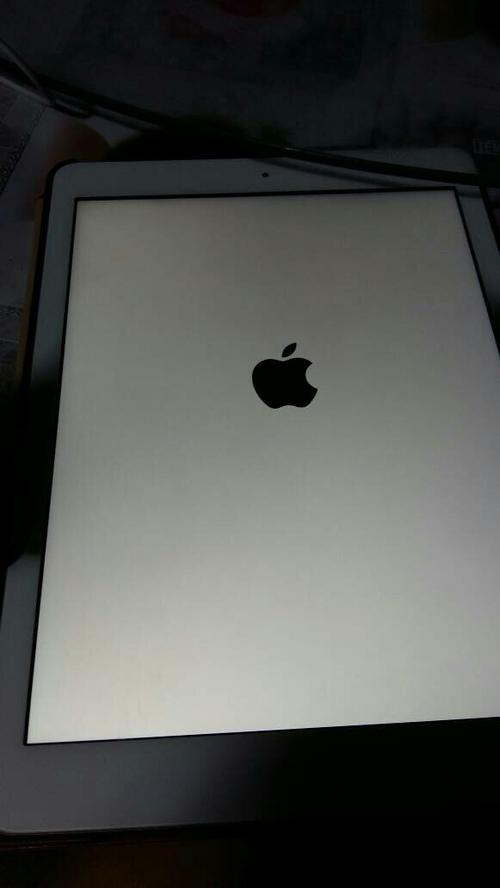 iPad pro开不了机图标