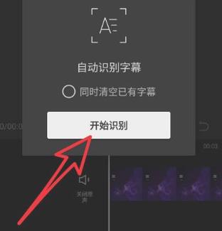 如何把视频中的话变成文字图标