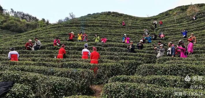 浙江风釆超长版走势图图标