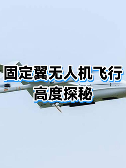 小米宽带路由器图标