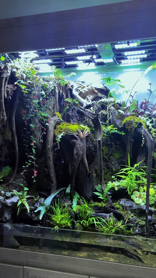 热带雨林缸造景图标