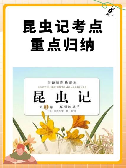 昆虫记考点重点归纳图标