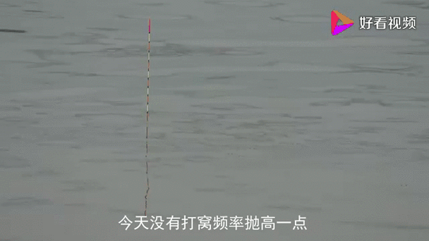 最真实看漂钓鱼游戏图标