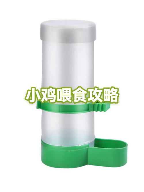 如何给小鸡喂食图标