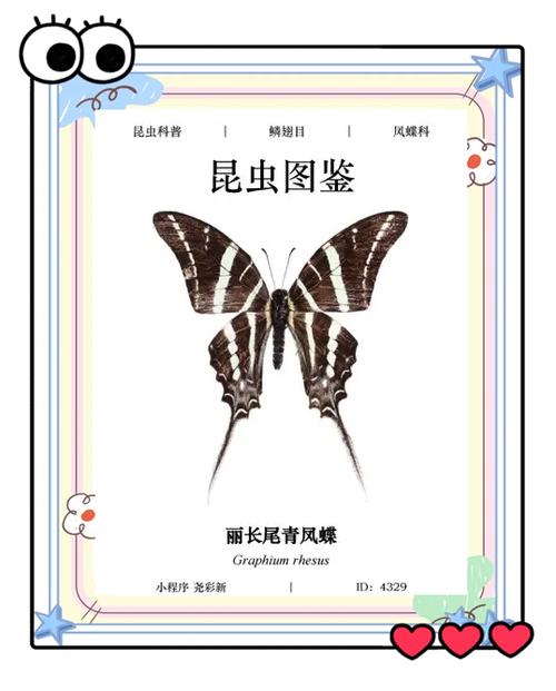 蝴蝶图鉴坐标大全图标