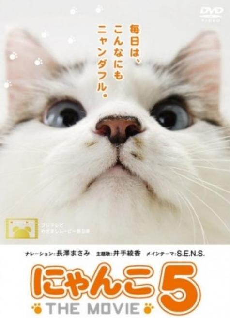 《猫咪物语》在线观看截图
