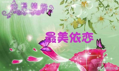 情缘聊天软件图标