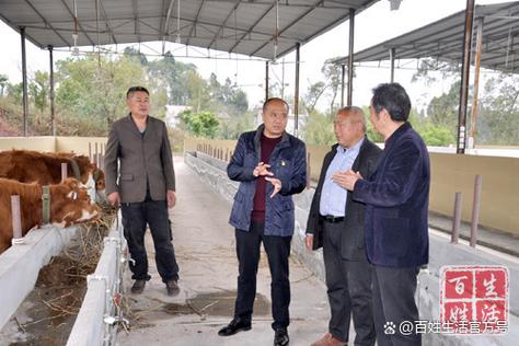 重生之养牛传奇图标
