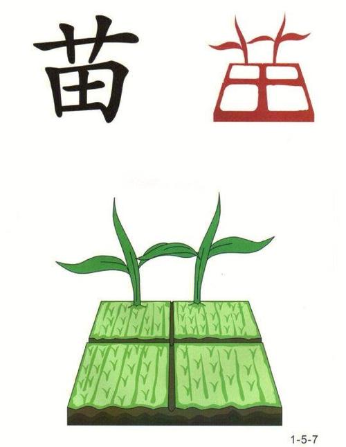 如何让孩子大量识字截图