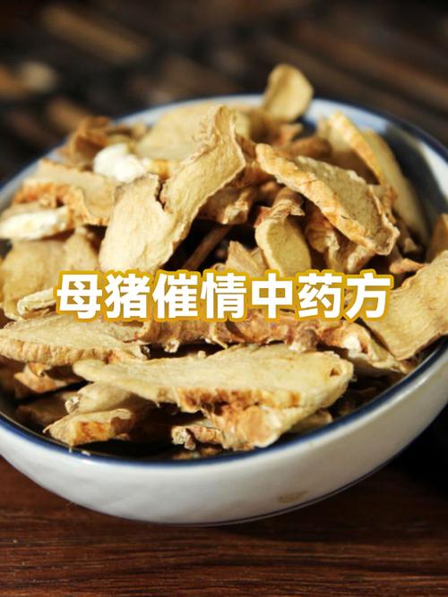 治疗子宫偏小的中药方子图标